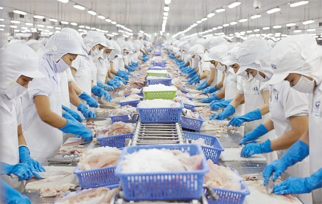 Giải Pháp đẩy Mạnh Xuất Khẩu Hàng Thủy Sản Việt Nam Sang Liên Bang Nga